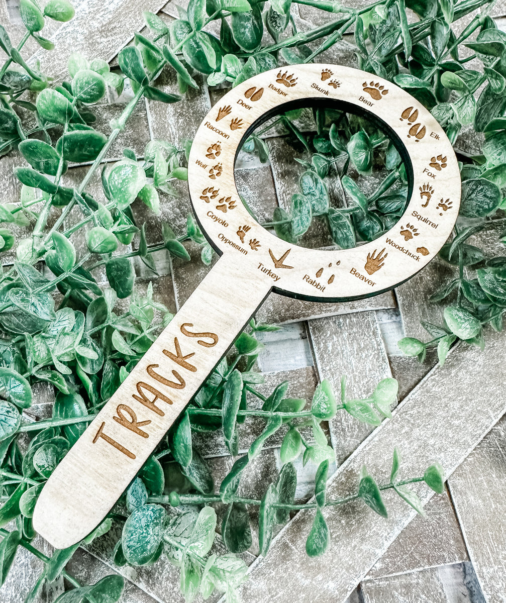 Bug and Track Identifier Tool for Kids – High Cotton Creations